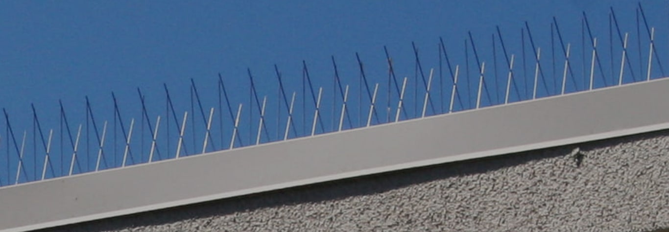 Bird Nesting Control Woodville South