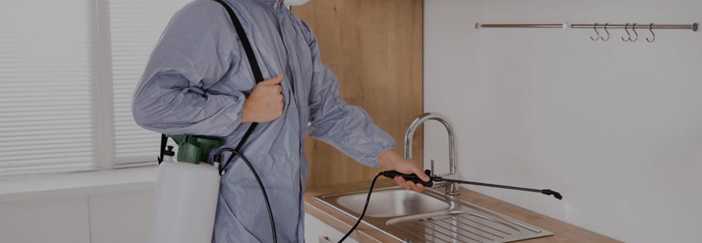 Residential Pest Control Port Victoria | 0480090710 | 24*7 Pest Control ...